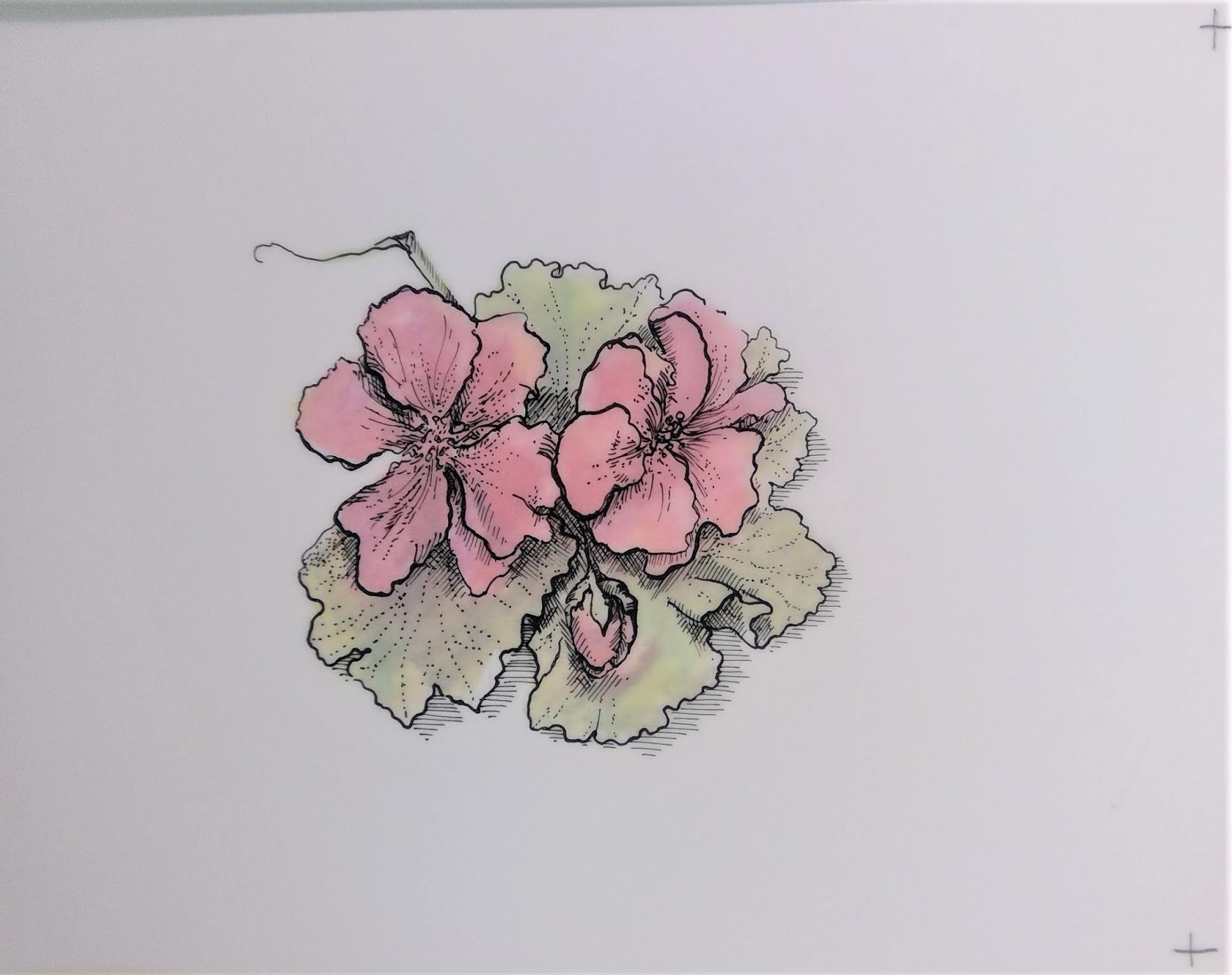 Linda Weil Fine Art: Composite Drawing