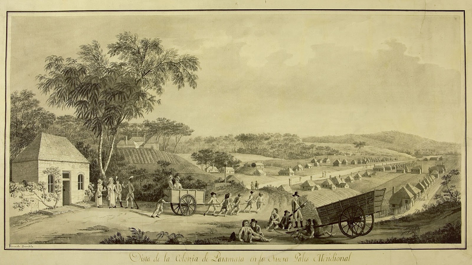 Ancient Wheat and Barley Trials: The Wheat Varieties of the First Fleet ...