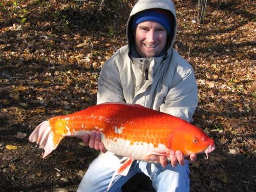 Rhode Island Carp Fishing: Check out this Rare Catch