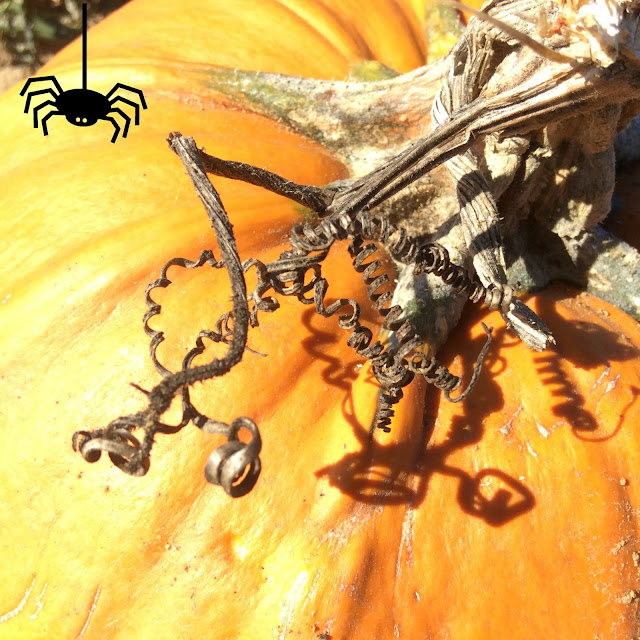 Silver Linings 4 ME: ORANGE, ROUND, SCARY...