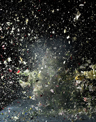 Willow Rose: Ori Gersht's Exploding Flowers