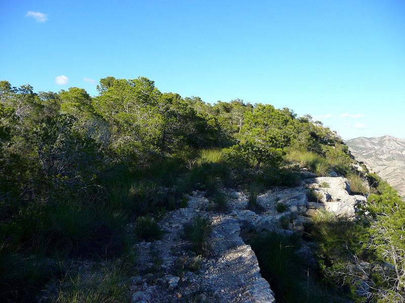 GEOELX: CERRO DEL AGUDO