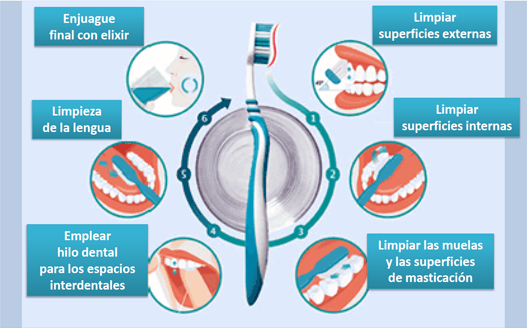 Pasos Del Cepillado De Dientes Imagui