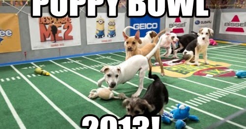 Thinking Pink: What Super Bowl? Bring On The Puppy Bowl!
