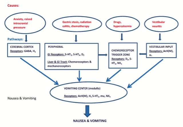 EM Didactic: Chemotherapy Induced Emetogenecity
