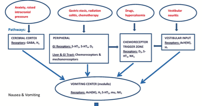 EM Didactic: Chemotherapy Induced Emetogenecity