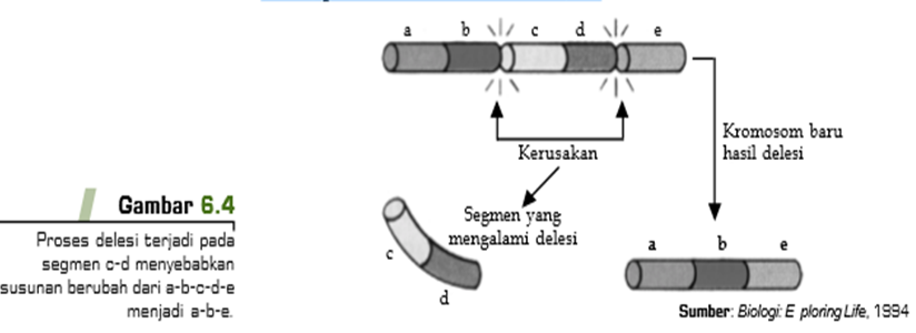Penjelasan Macam-Macam Mutasi - Kelas Edukasi