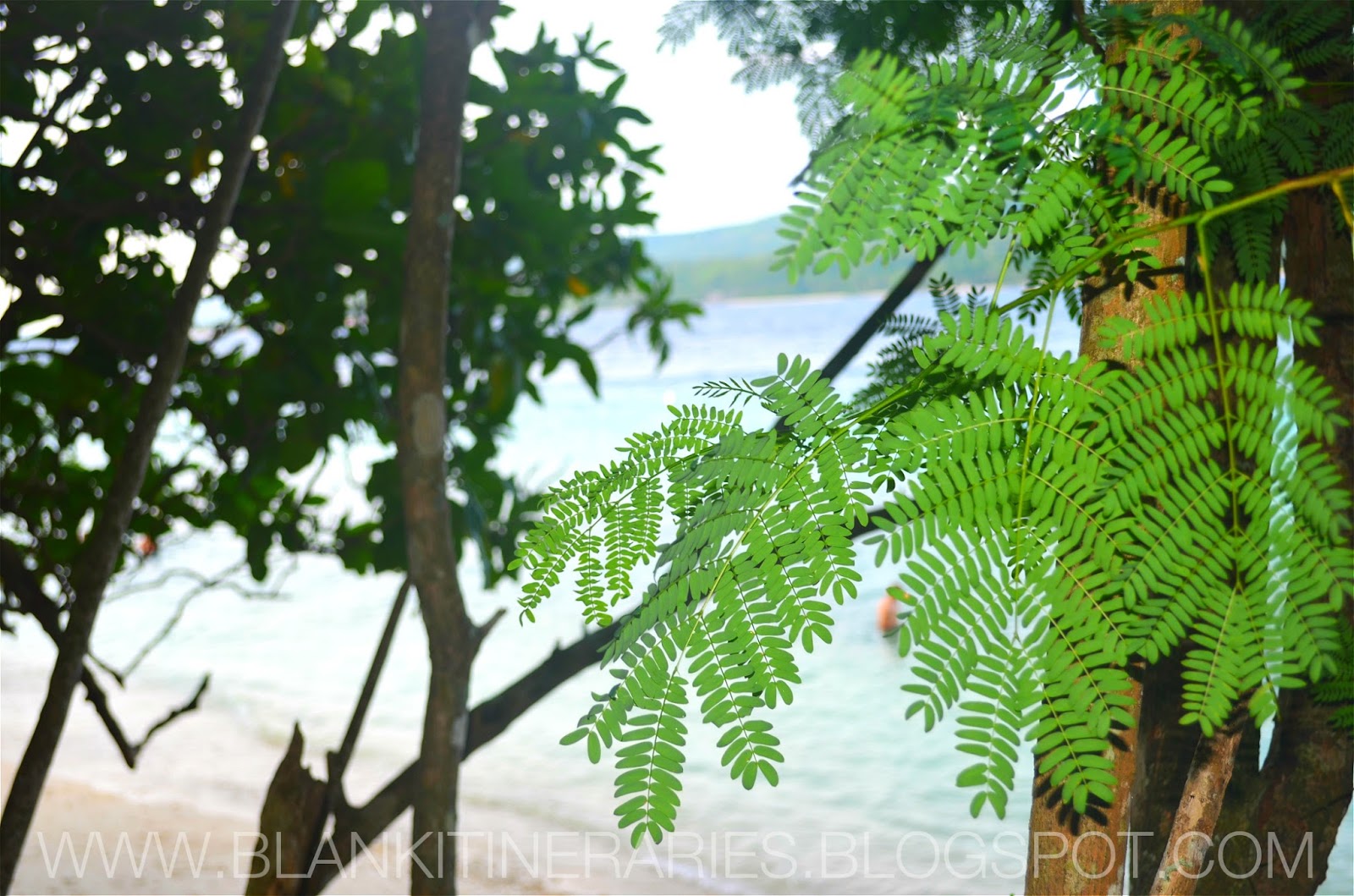 BLANK ITINERARIES: TALICUD ISLAND, ISLAND GARDEN CITY OF SAMAL, DAVAO ...