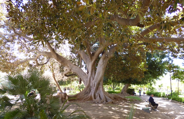 Zombie Parent's Guide: Chania Playground, Crete