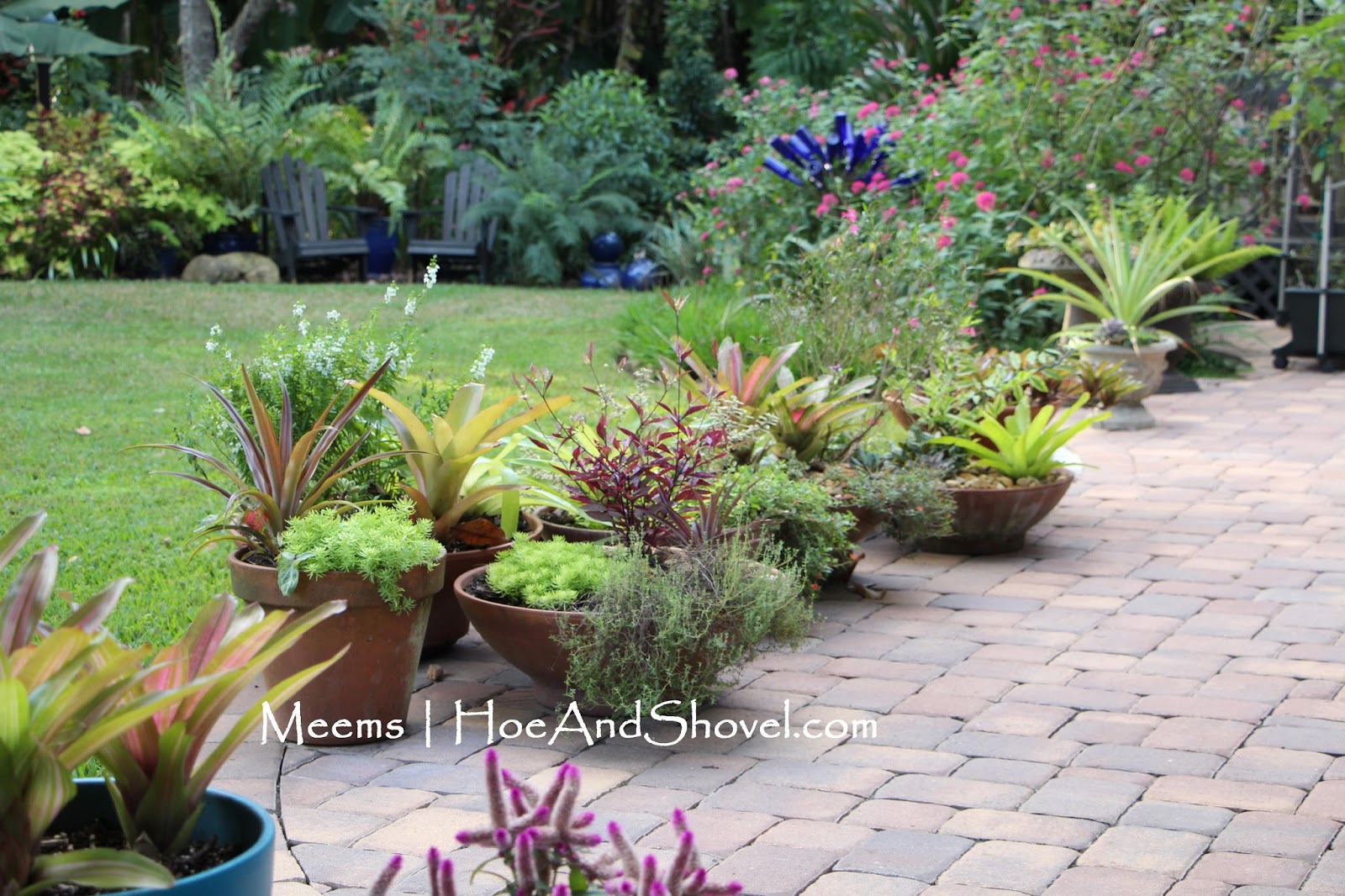 Hoe and Shovel: Easy Maintenance Low Bowl Containers