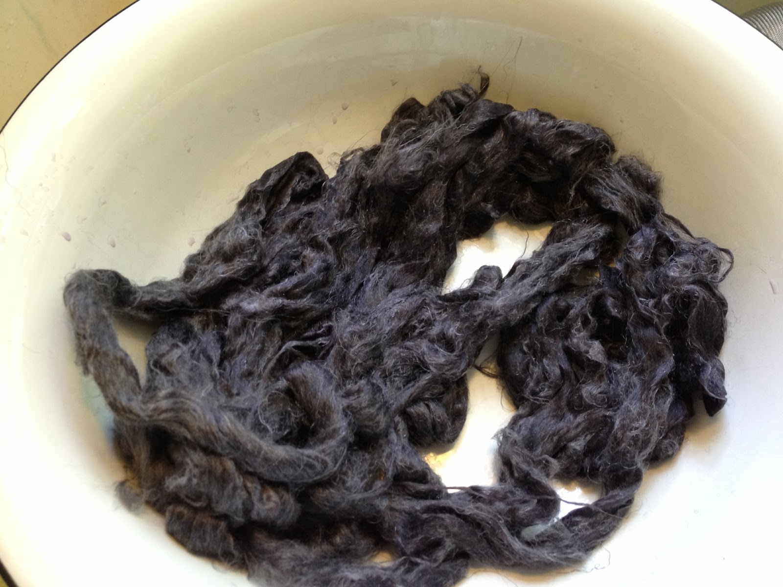 The Inconsequential Blogger: Dyeing with Hopi black sunflower seeds
