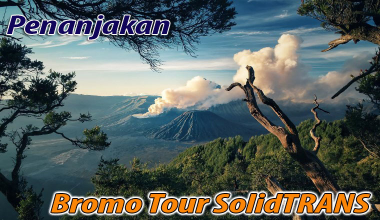 paket wisata bromo Midnight