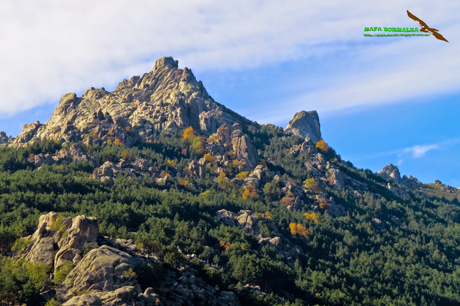 El Nido de Rafa: Parque Regional Cuenca Alta del Manzanares, Madrid.