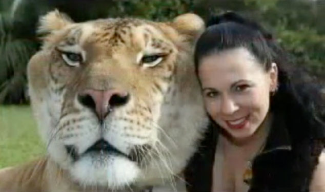 PEPLUM TV: Hercules the Liger