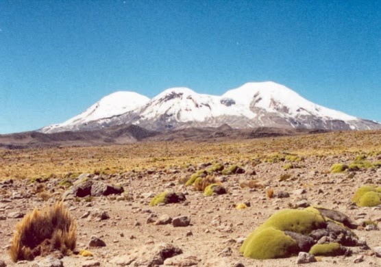 CENTRO DE INVESTIGACIÓN INTEGRAL : Nevado Coropuna, Perú