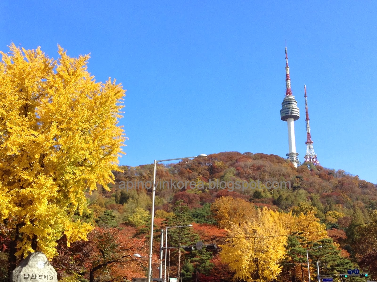 A Pinoy in Korea: The Changing Of Colors At Seoul's Namsan!