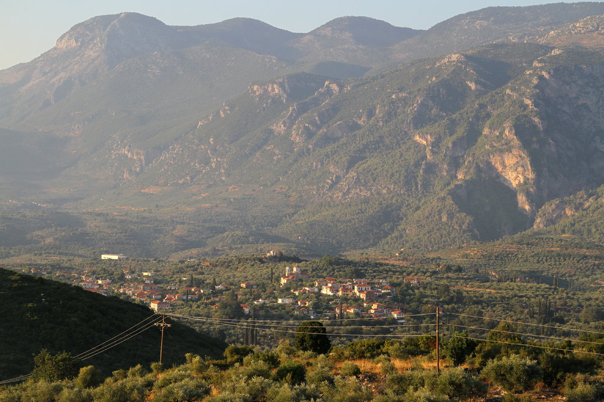 Antiguos OLIVOS del Mediterráneo : GREECE. ELLADA. MESSINIA. METHONI ...