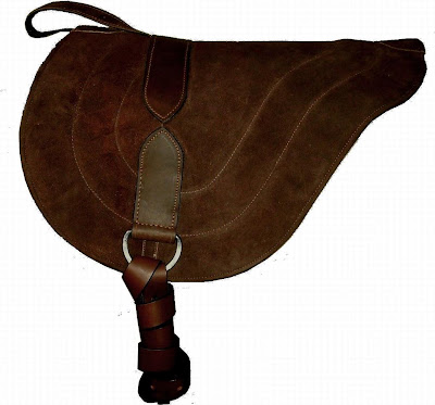 Natur Hästen: Barbacka pad!