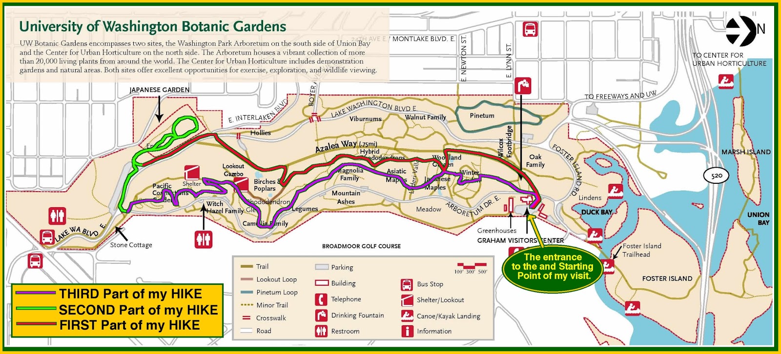 randuwa: Spring Break Redux: University of Washington Arboretum, Part 1