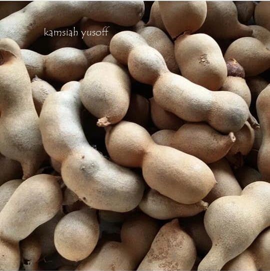 Buah Asam Jawa Dan Cermai | Detik Detik Indah Dalam Hidupku