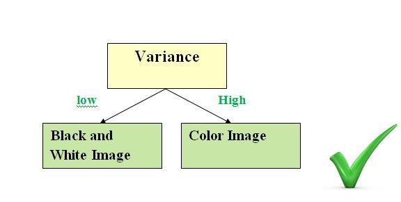 Decision Tree | IMAGE PROCESSING