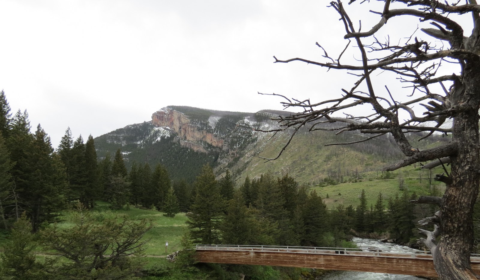 Where's Liz-2012?: Big Timber, Montana