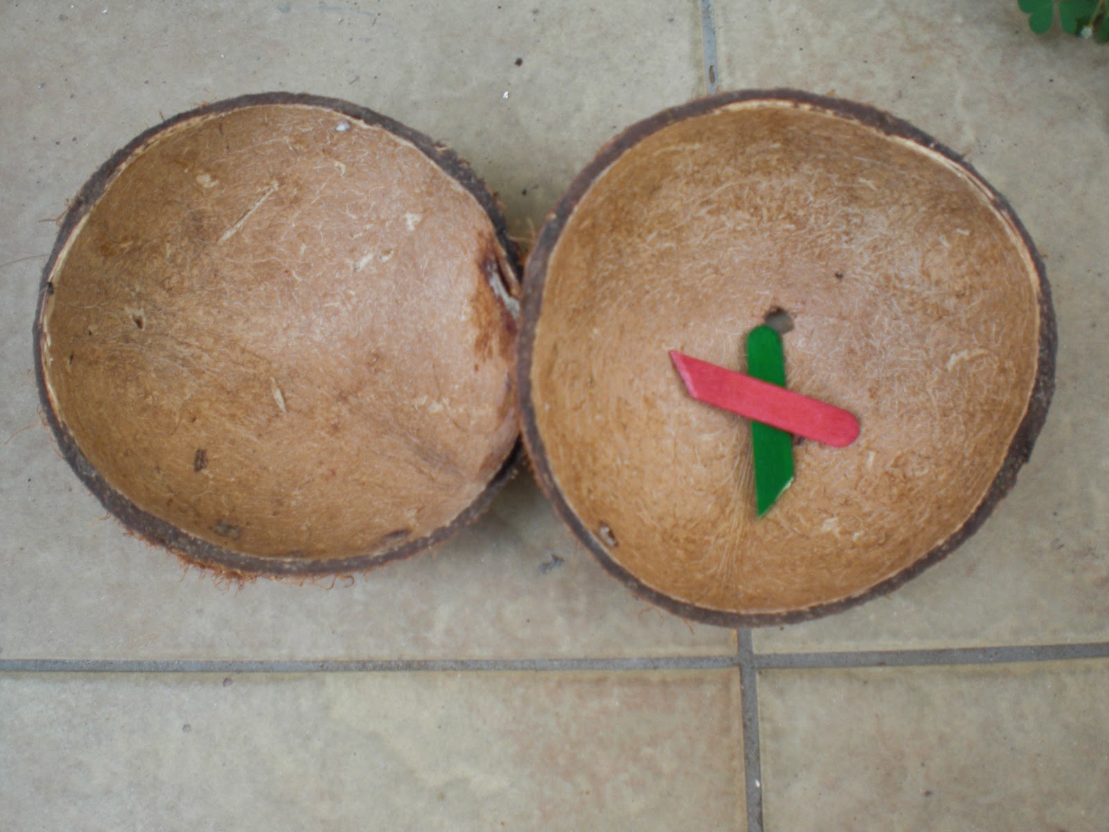 MORIANCUMER: Make a Liahona