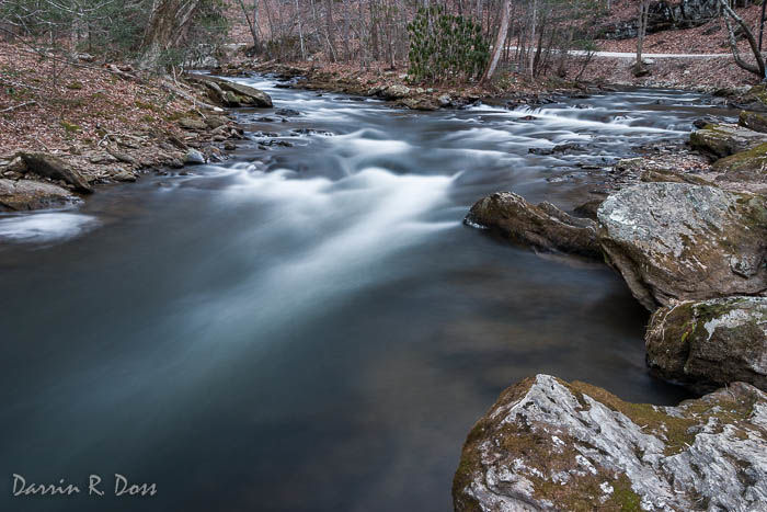 Blue Ridge Foothills & Lakes Virginia Master Naturalists: Doss ...