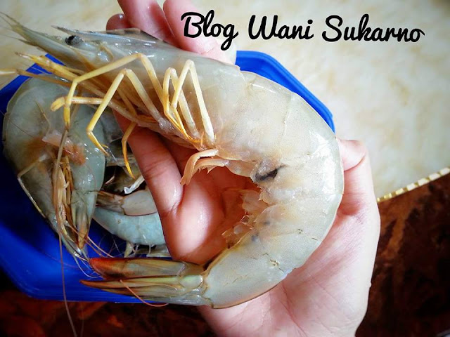 SAMBAL UDANG SAIZ XXL