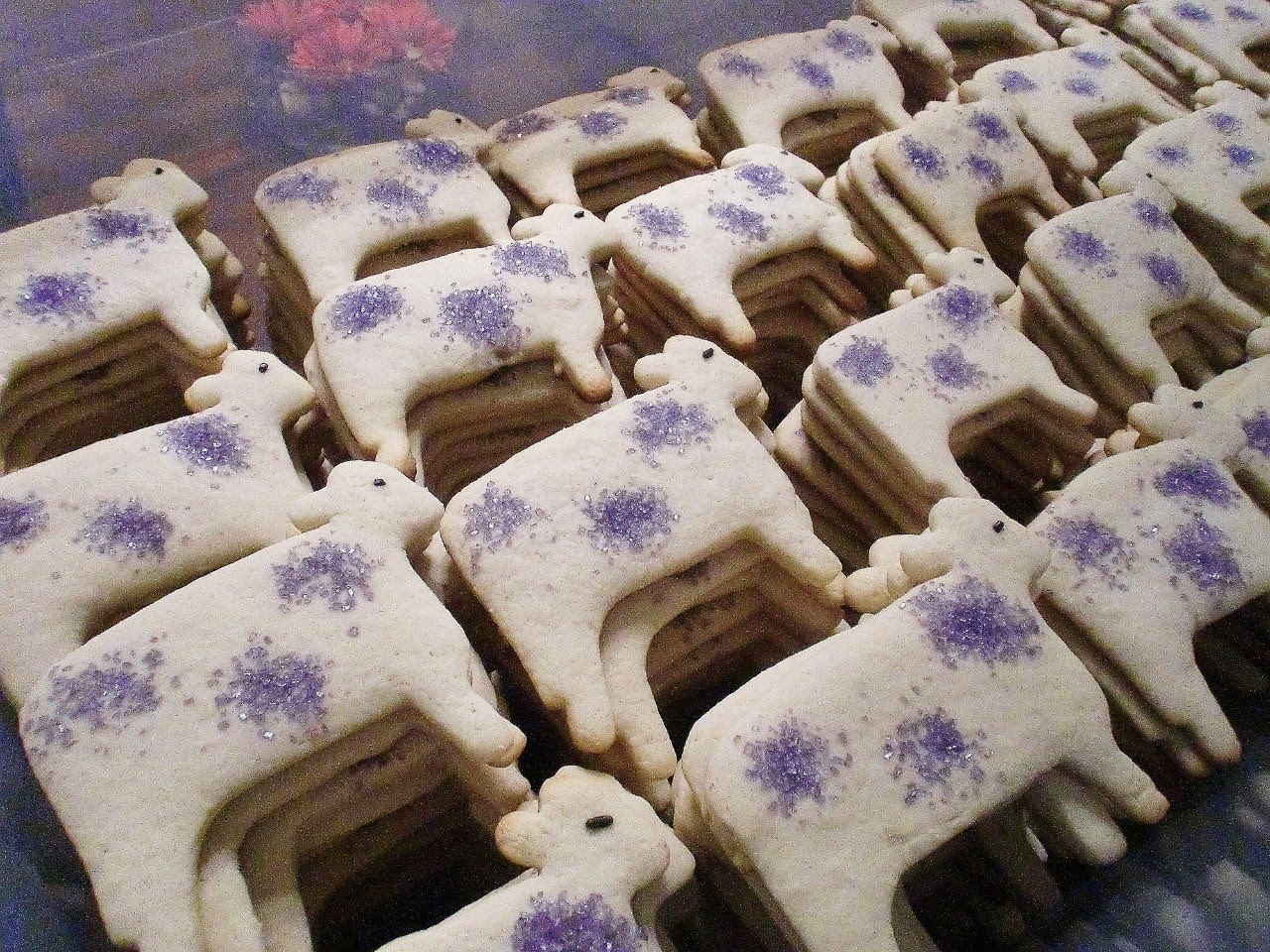 The Finished Cow Cookie Project