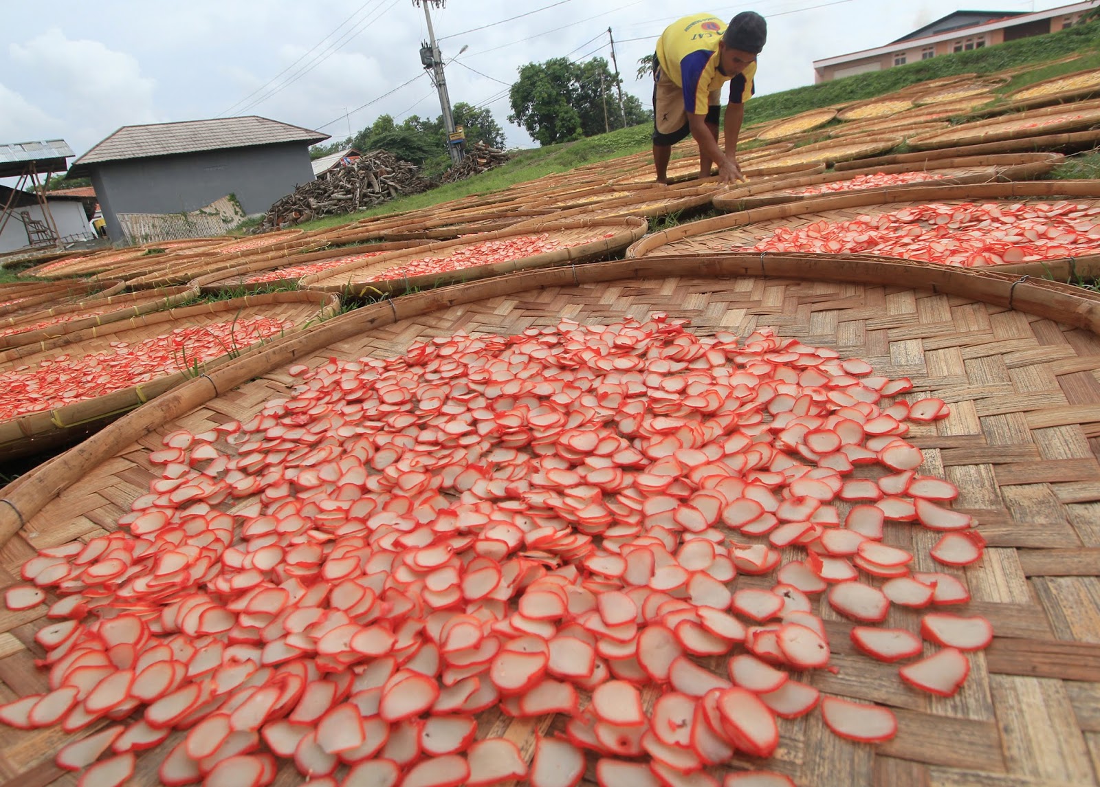 Pengantar Teknik Pangan : Proses Pengolahan Makanan