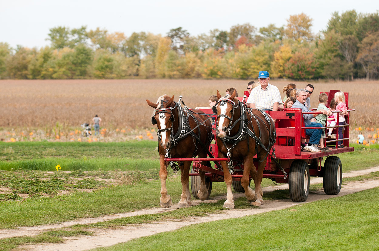 Experience Elgin: Elgin County - Come for a visit , stay for a lifetime!