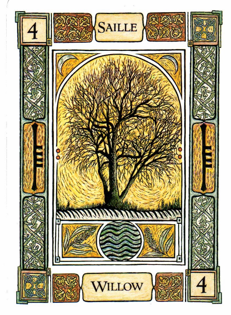 The Wildcraft Chronicles: Willow Healing