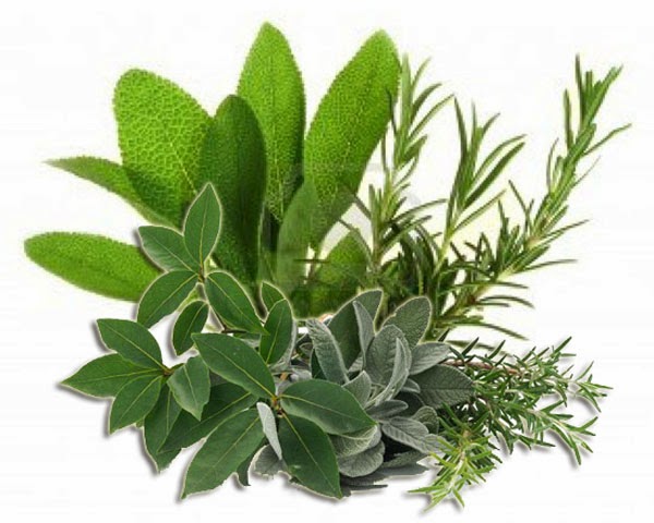 QUARRATA/news - QUOTIDIANO ON LINE: UNA SERATA ALLA SCOPERTA DELLE ...