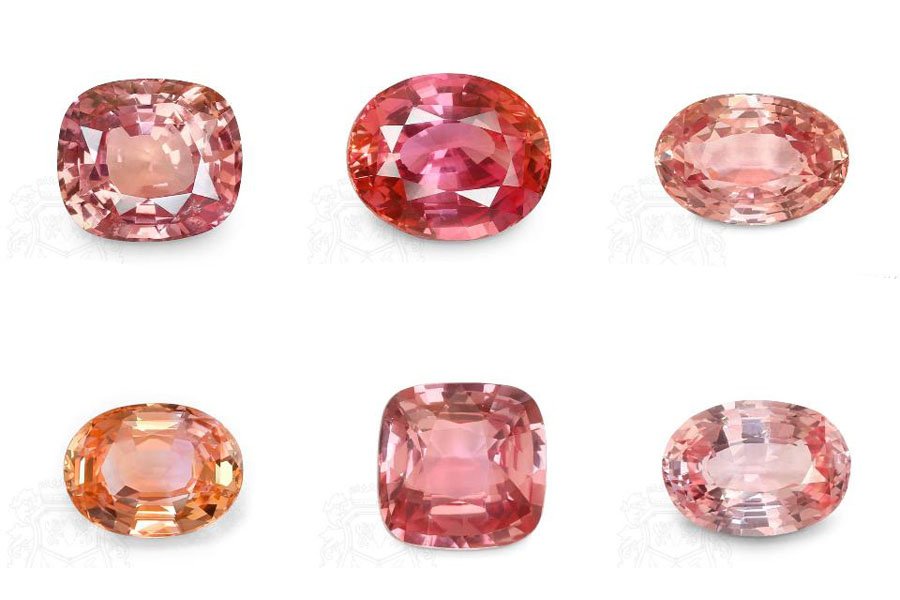 EKSOTISME PADPARADSCHA - Artikel