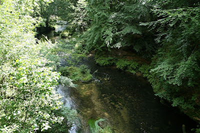 TU I ÓWDZIE: PARK NARODOWY RZEKI KAMIENICE \ KAMENICE RIVER NATIONAL PARK