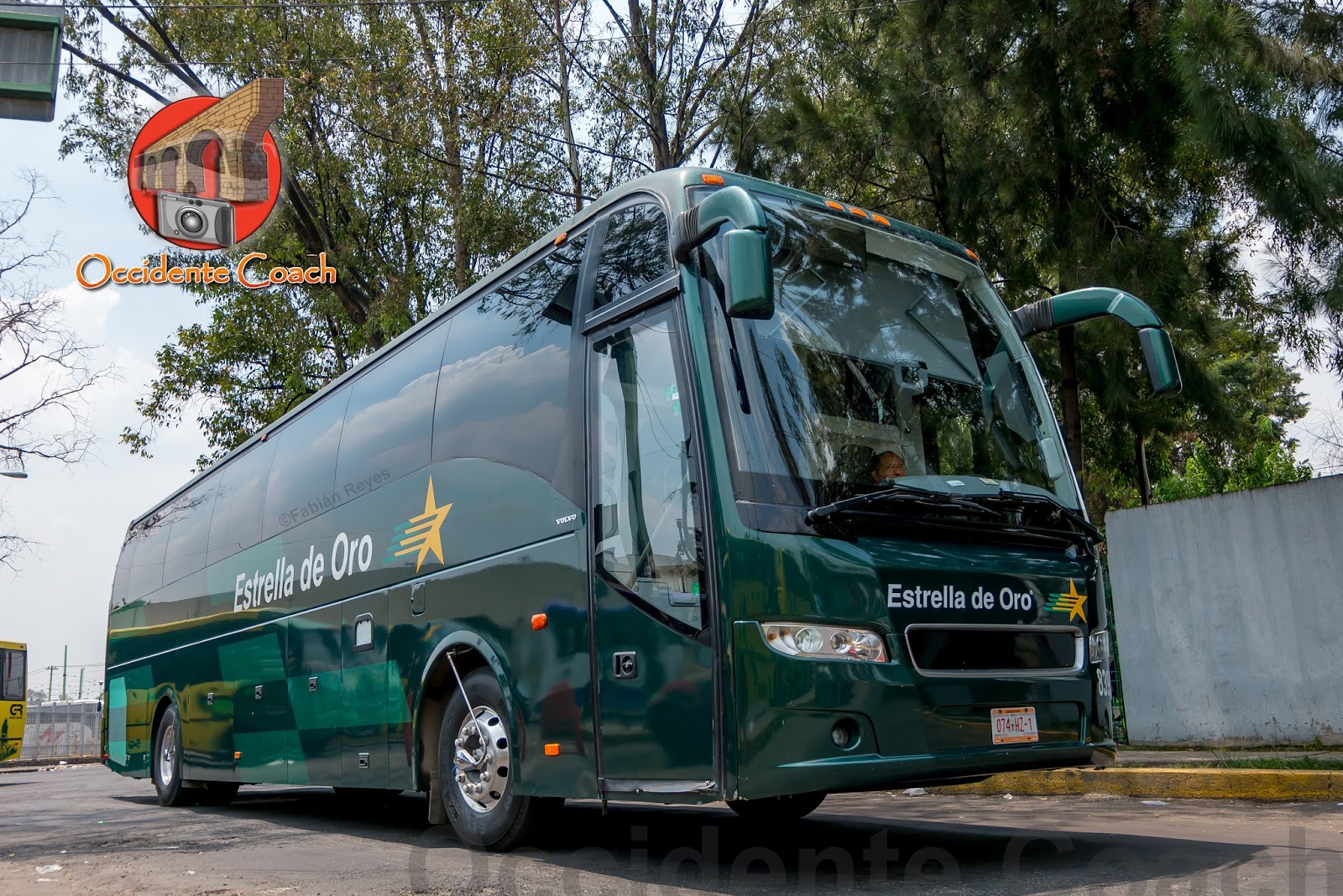 Occidente Coach: Estrella de oro Pluss