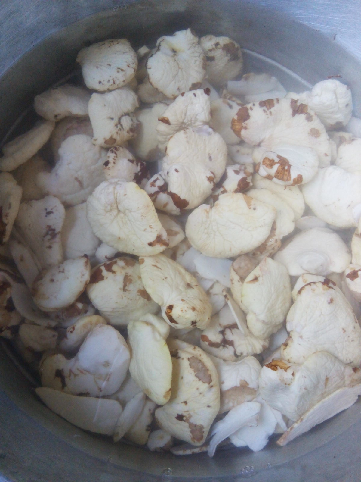 Cara Mudah Membuat Keripik Gayam | dekamuslim