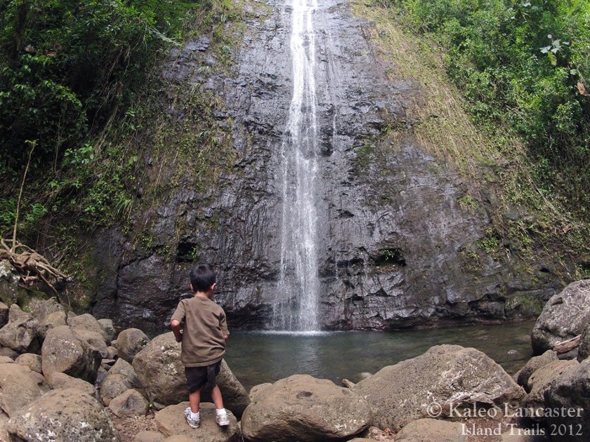 Island Trails: Manoa Falls - March 26, 2012