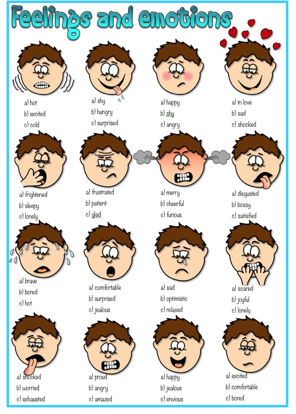 Learn IT! English: Feelings and Emotions
