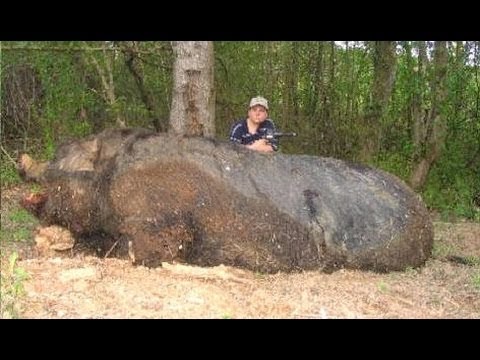 Haunted Haven by Faith Serafin