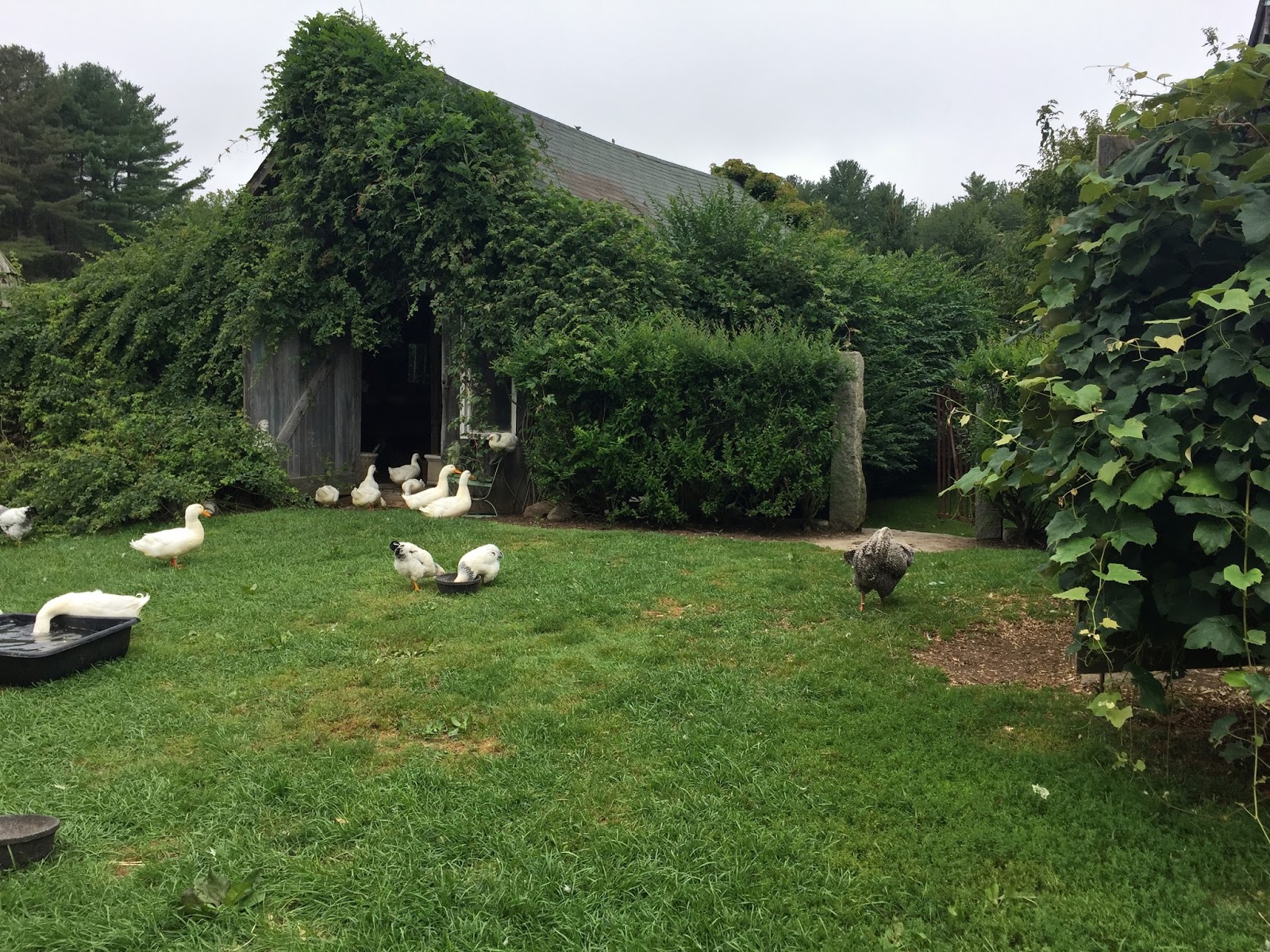 Alexandra Bee Blog: Snug Harbor Farm