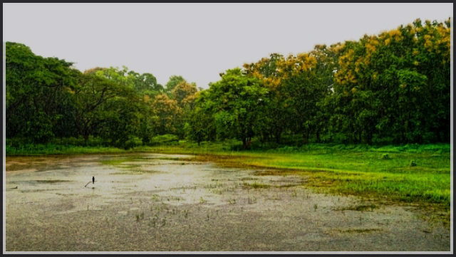 TANSA LAKE - Amazing Maharashtra