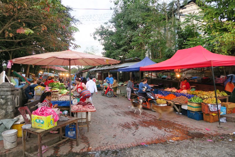 A Travel Blog by Denna Nazem