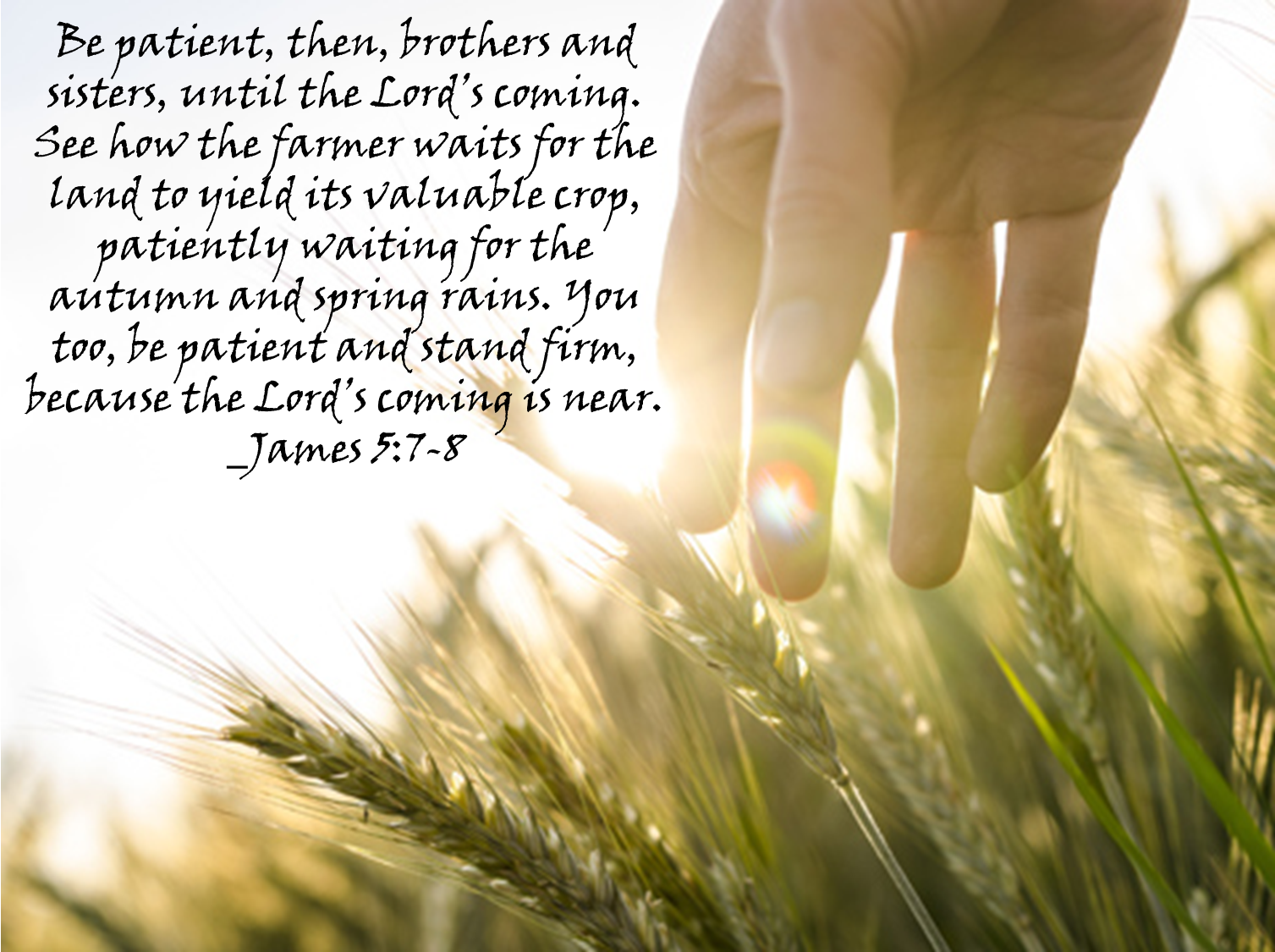 HOW IN THE WORLD Patience In The Face Of Suffering James 5 7 11