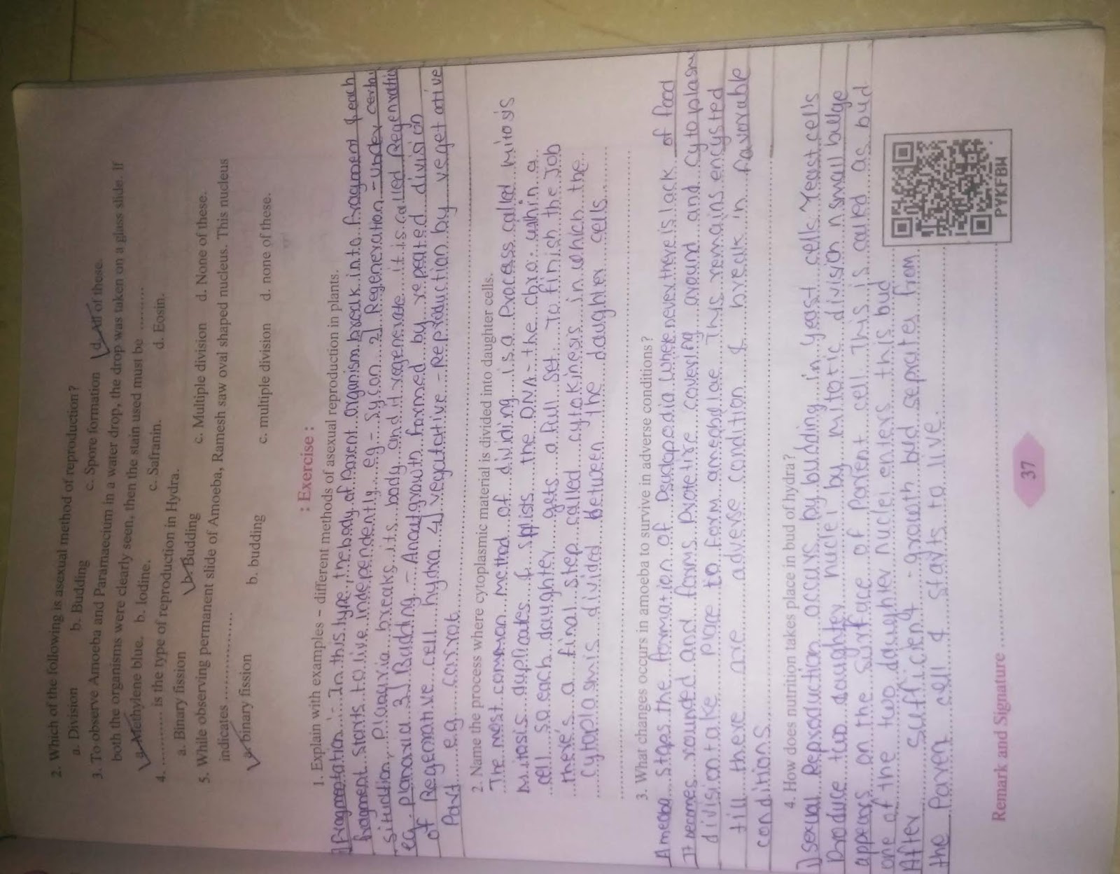 10TH Science Practical Answers Pdf 10TH CLASS JOURNAL ANSWERS PDF | SP13SCIENCE