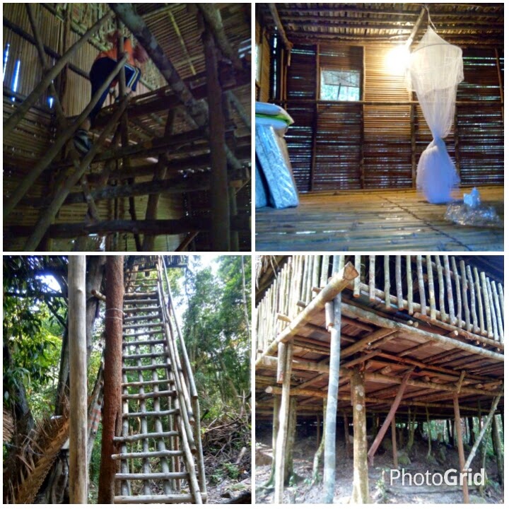 靓师奶: Gunung Pulai~树屋/Tree House /Rumah atas pokok