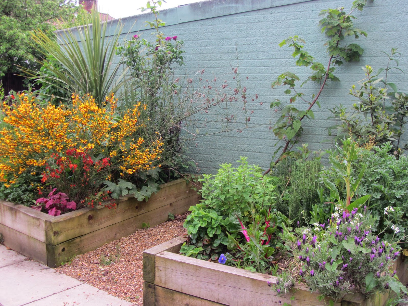 Ham Photos: Brightening up Back Lane