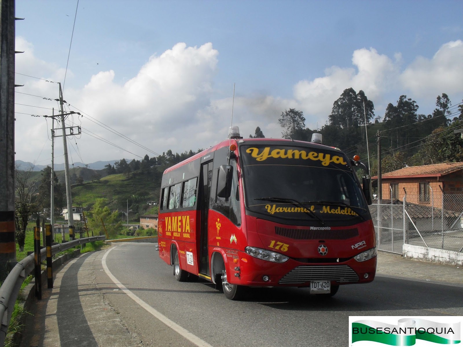 BUSES ANTIOQUIA: YAMEYA 175