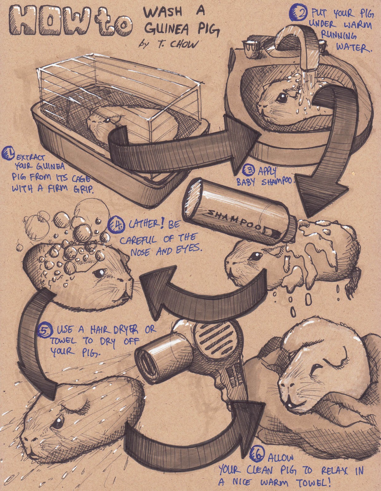 Tyler Chow: Dynamic Sketching - Week 1 - Basic Shapes